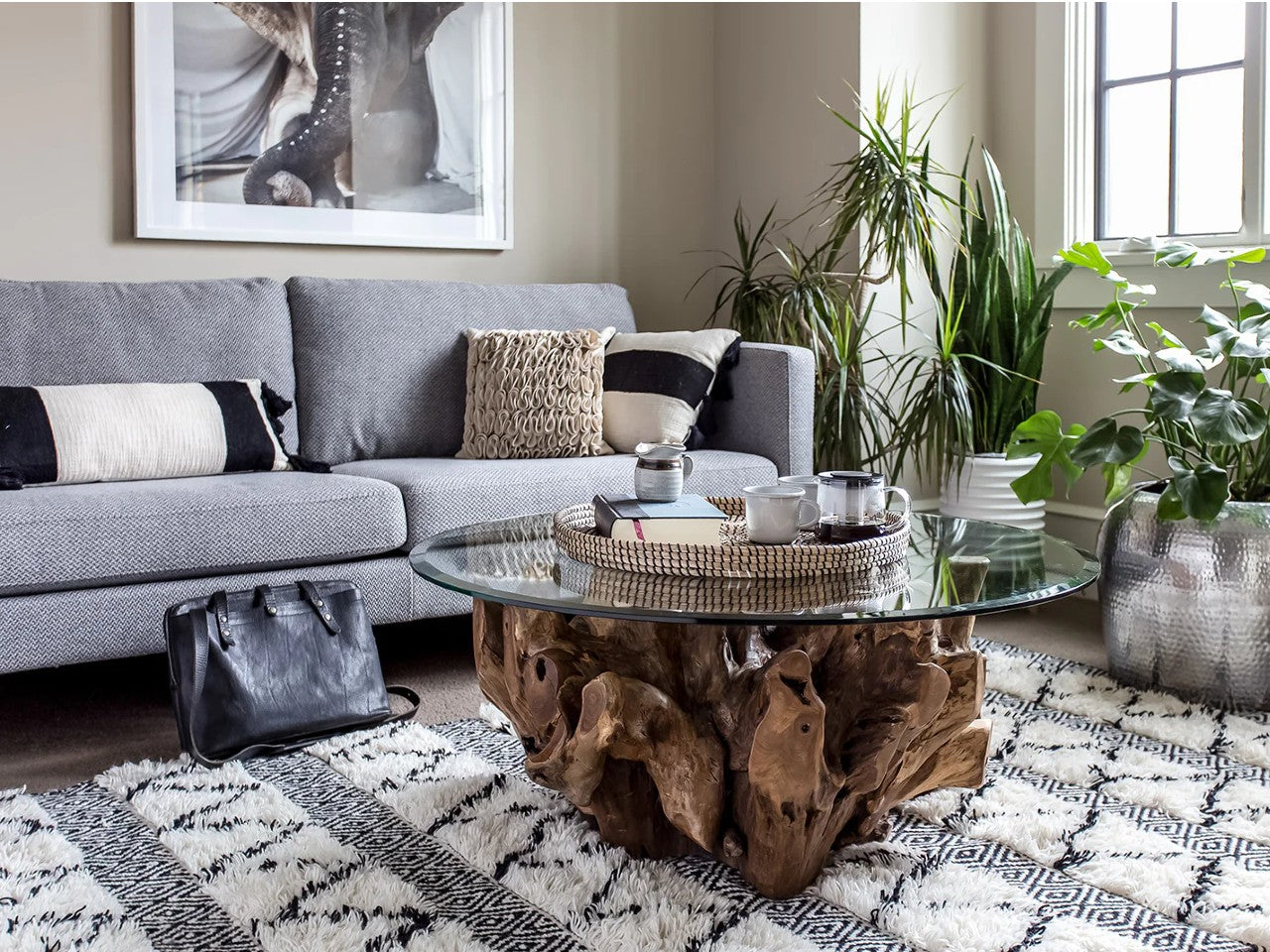 Natura Round Root Coffee Table - Showhome Furniture