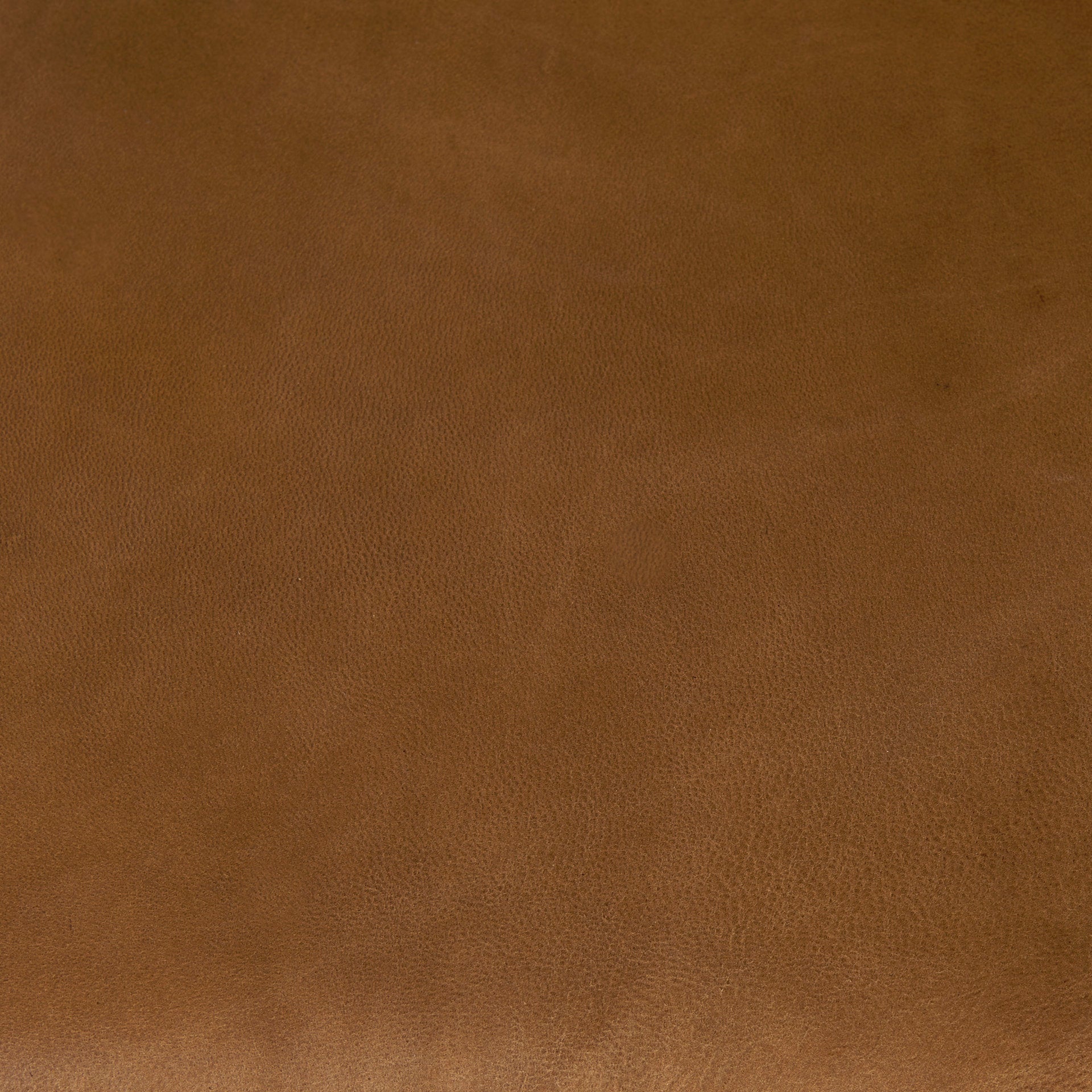 Eliza Bar/Counter Stool - Showhome Furniture