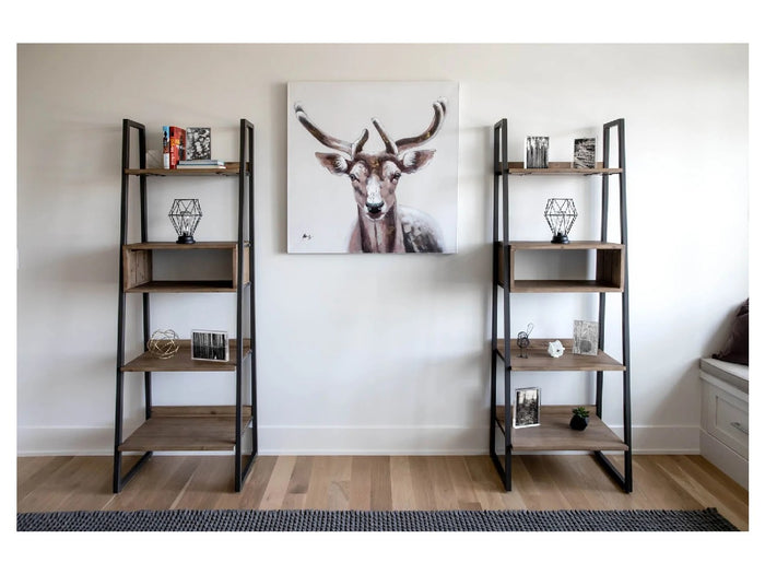 Calgary Bookshelves